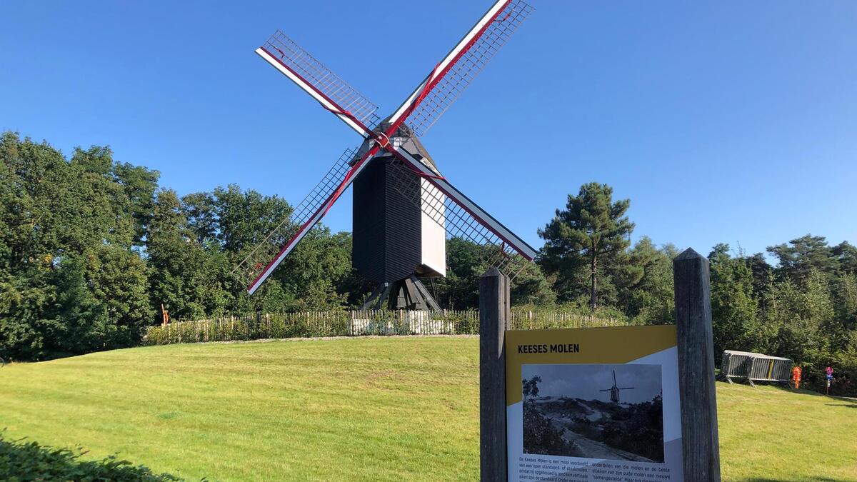 Hakhoutbeheer geeft Keeses Molen meer windvang | GVA